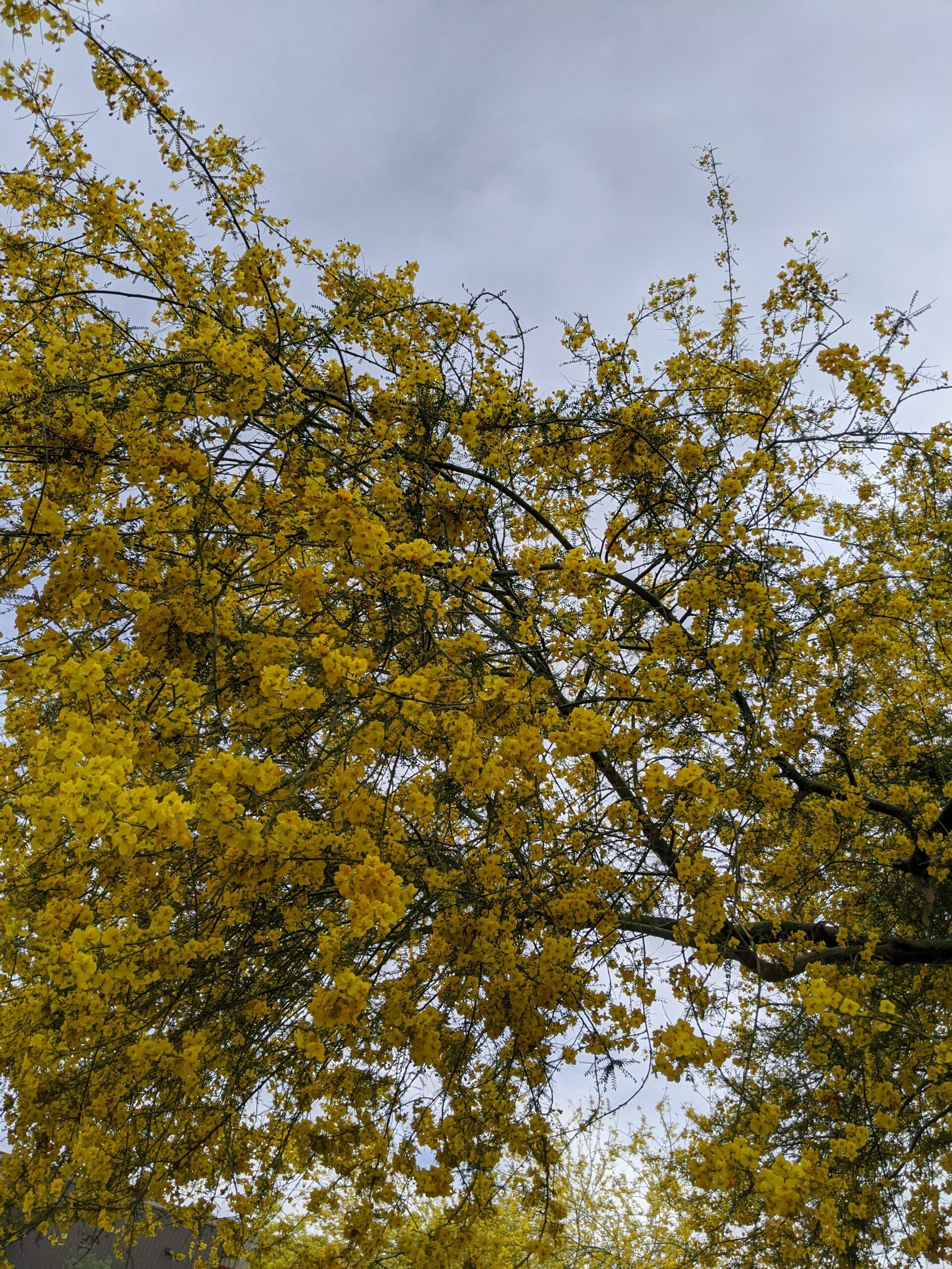 Practical Questions for Spring Reflection & Planning – Embracing Home